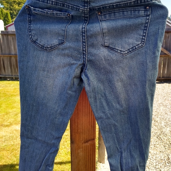 Blue Spice | Jeans | Blue Spice Jean 3 5 | Poshmark